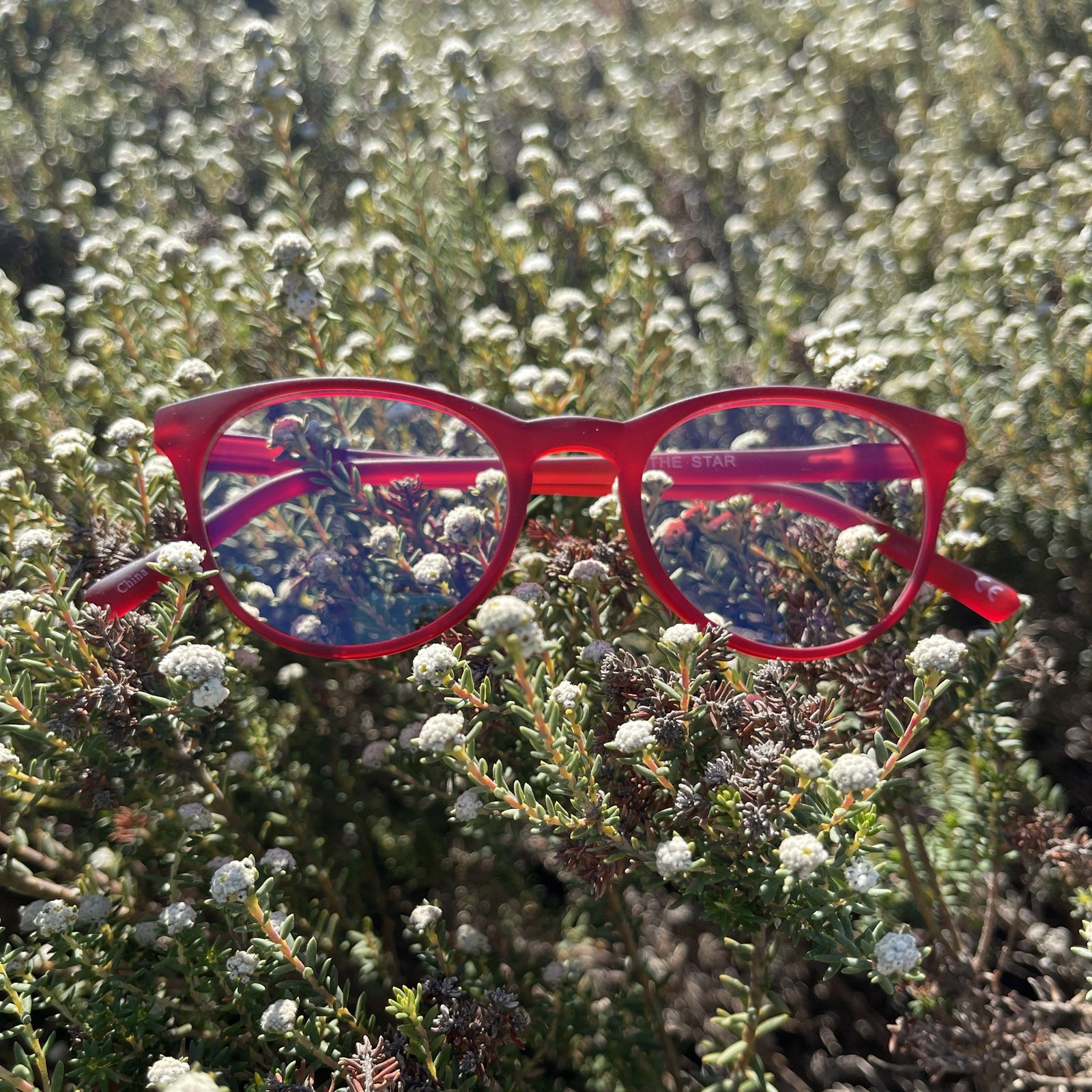 THE STAR CELESTE – GOOD BRANDS